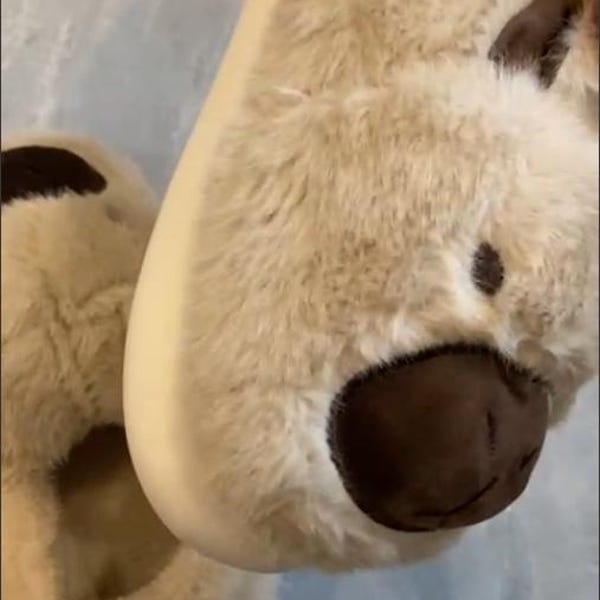 Cute Bee Pajama Snuggie | Cozy Animal Costume for Adults | Soft Fuzzy ...