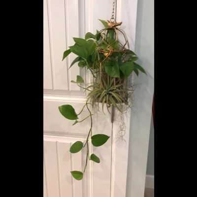 Black and Gold Rain Chain, Flower Cups, Metal Rain Chain, Chain Gutter ...