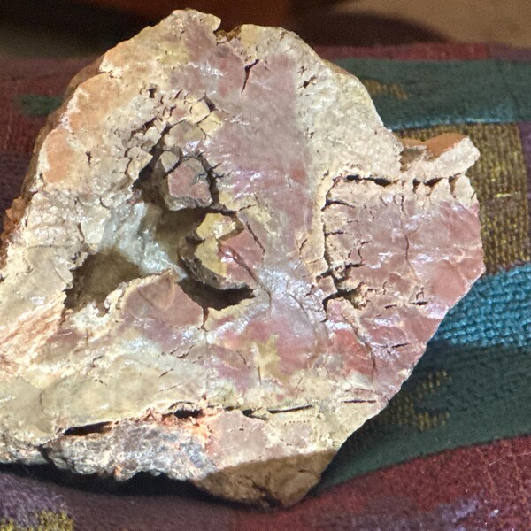 Rainbow Petrified Wood - Arizona Petrified Wood – Fossilized Wood ...