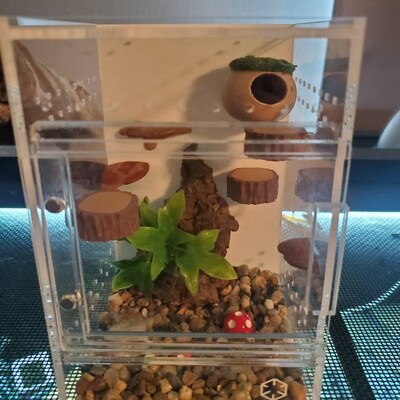 3D Printed Magnetic Spider Platforms Set of 3, Terrarium Platforms - Etsy