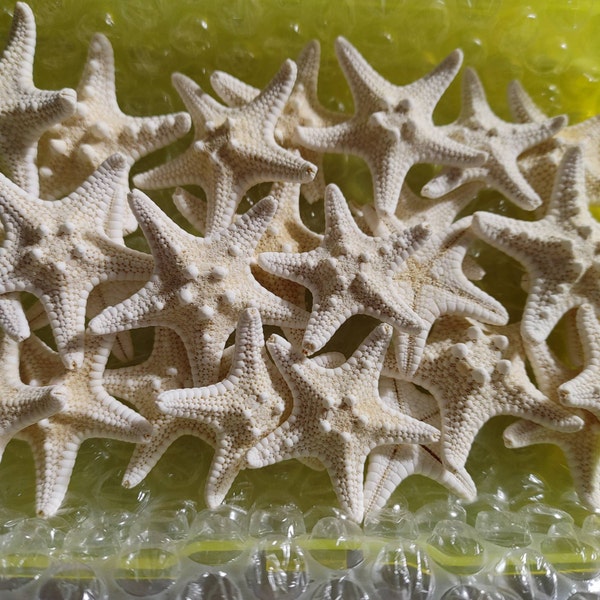 25 Pcs White Bleached Knobby Starfish Decorations Beach Ocean 1-2" - Etsy