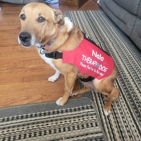 Personalized Therapy Dog Vest: Custom Name, Durable Outdoor Fabric - Etsy