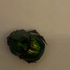 Phanaeus Demon MALE Scarab Beetle Green Form Guatemala PINNED - Etsy
