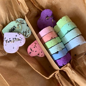 10pc Wildflower Seed Bomb Pack, Plantable Biodegradable Hearts, Custom ...