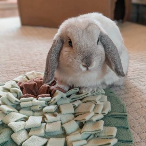 Pink Flower Snuffle Mat for Rabbits, Guinea Pigs, Dogs and Other Pets ...