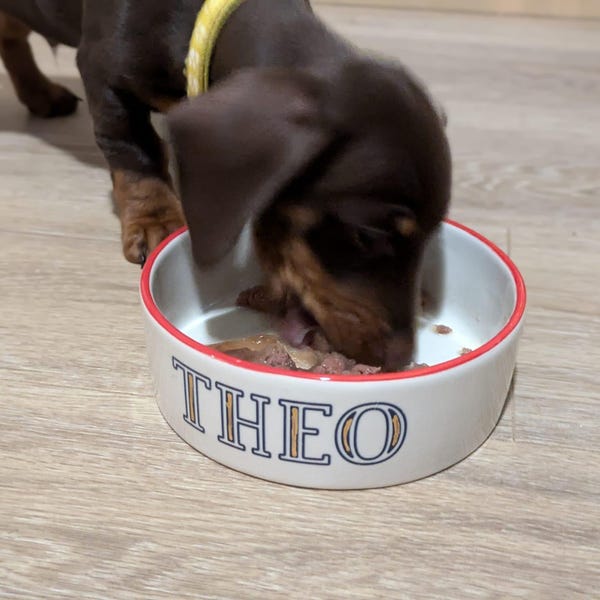 Personalised Ceramic Dog Bowl With 'hidden Message', Handmade Dog Bowl ...