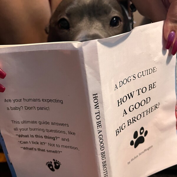 Boy or Girl Gender Reveal Maze Game, Boho Gender Reveal Labyrinth ...