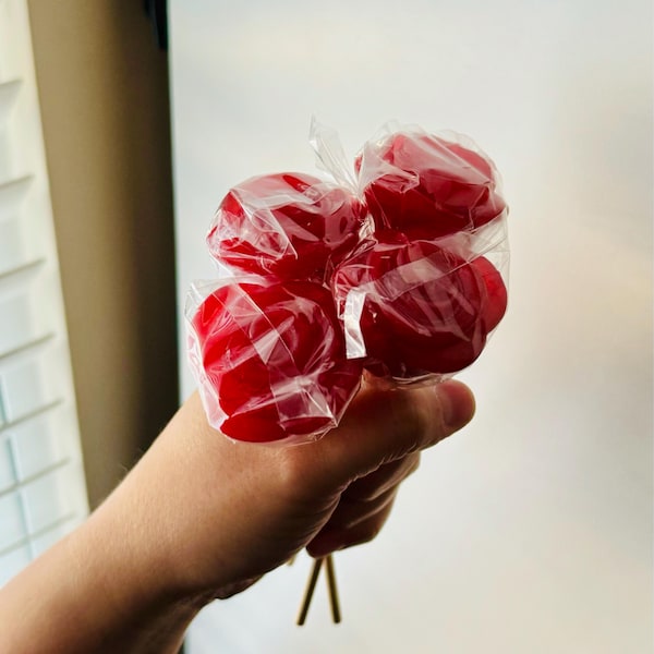 3D Sea Shell Lollipops 6-piece Set by I Want Candy - Etsy