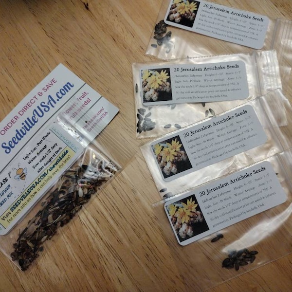 20 * Seeds JERUSALEM ARTICHOKE Sunchoke Sunroot Helianthus Tuberosus ...