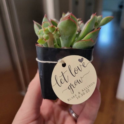 Let Love Grow, Plant Tag, Wedding Tag, Favor, Bridal Shower, Baby ...