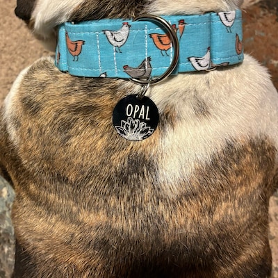 Orange and White Checkered Dog Collar, Martingale or Flat Collar, Dog ...