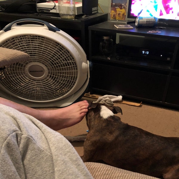 Name Keyring Name Keychain Log Slice Tree Slice Key Chain Wooden Branch ...