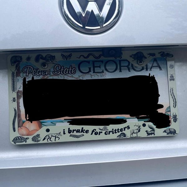 Insects License Plate Frame - Entomology Entomologist Car Truck Gift ...