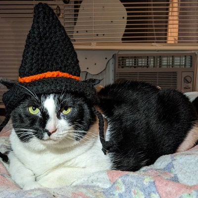 Witch Cat Hat, Witch Hat for Cats, Halloween Cat Costume, Halloween Hat ...