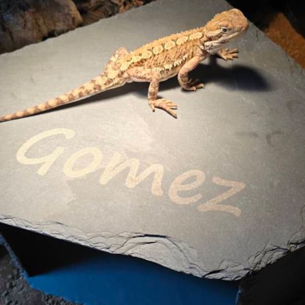 XXL Extra Super Large Slate Cave Hide Tunnel Vivarium Reptile Lizard ...