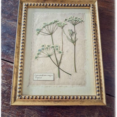 70 Envelope Stiffeners A4 Lightweight Corrugated Card - Etsy