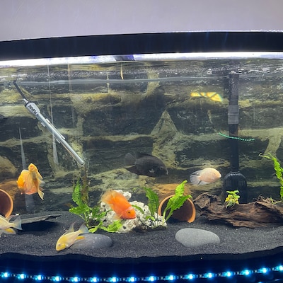 Black Rock / HD Stone Aquarium Background Rocky Fish Tank Background - Etsy