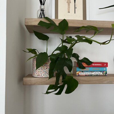 Terrazzo Plant Pot, Plant Lover Gift, Colourful Home Decor, Eco ...