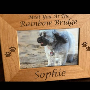 Custom Cat Frame, Pet Memorial Frame, in Memory of Cat, Memorial for ...
