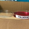 THE THING 1982 Petri Dish Blood Test Prop Replica - Etsy