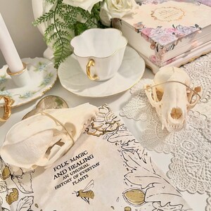 Beaver Skull Pyrography & Painted Art Real Skull One of | Etsy