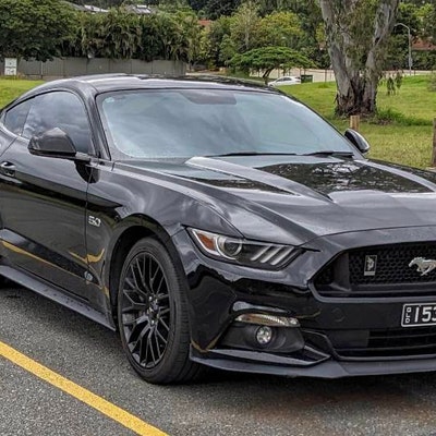 V4 Howling Coyote 5.0 Fender Badges Yellow pair Emblems for Mustang ...