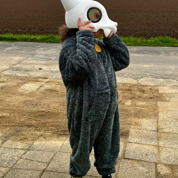 Hollow Knight Pure Vessel Mask 3d Stl - Etsy