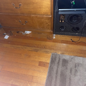 Mystery Crystal Mushroom Vending Machine Set of Two Mushrooms - Etsy