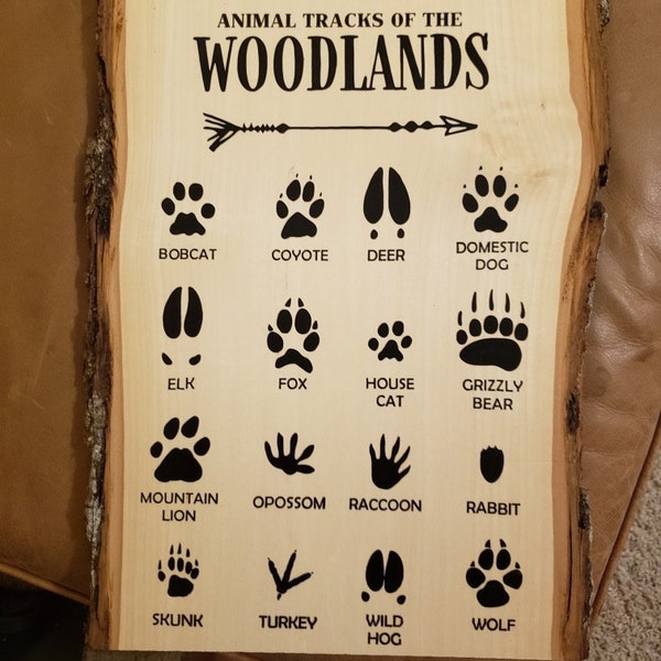 Animal Tracks Print, Woodland Nursery Decor, Printable Wall Art, Boys ...