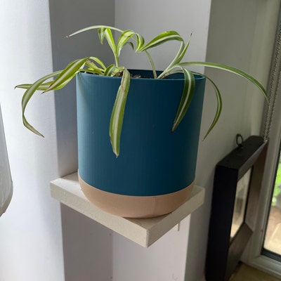 Rounded Cube Pot Planter Pot With Feet Coloured Pot Indoor - Etsy UK