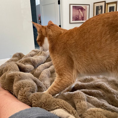 Boho Math Classroom Posters, Classroom Decor, Classroom Posters, Math ...