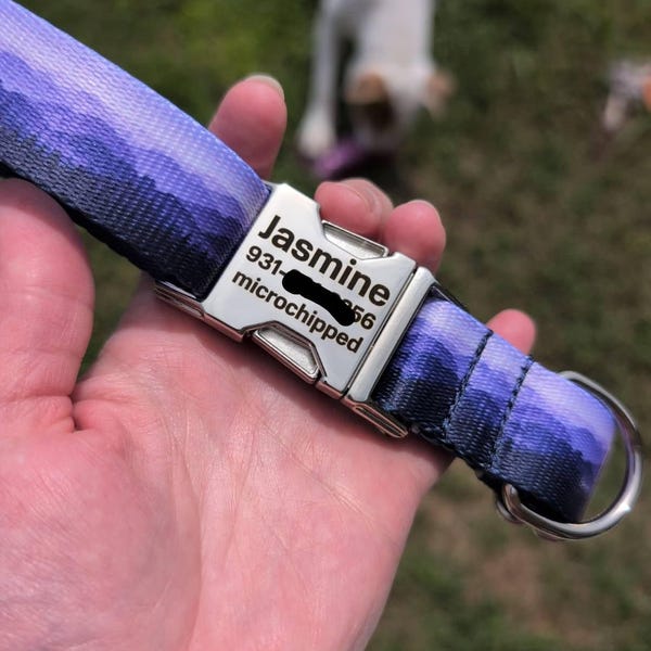 Personalized Mountain Landscape Dog Collar in Teal, Blue, and Purple - Etsy