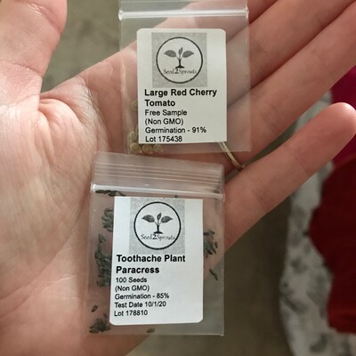 100 Toothache Plant Seeds, Paracress Herb Seeds, Non-gmo - Etsy