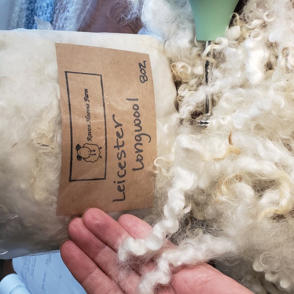 Raw Wool Lincoln Longwools Natural Colored - Etsy UK