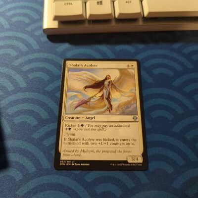 Heartless Demons mono Black Deck Archfiend of Depravity 60 Cards MTG ...