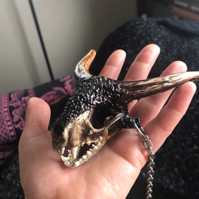 Animal Skull, Goth, Real Skull, Skull Jewelry, Oddities, Animal Bones ...