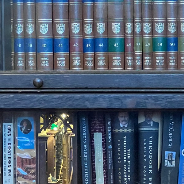 The Shining Book Nook Shelf Insert Bookshelf Decor Gift Movie Diorama ...