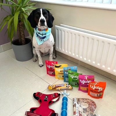 Scottish Tunnocks Sweet Treat Chocolate Hamper - Etsy UK