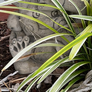 Funny Stone , Stone Face Figurine, Meme Funny Stone, Stone Carving Face ...