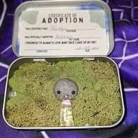 BABY ROCK! Magnetic W/ Adoption Certificate! Adopt an Adorable Desk Pet ...