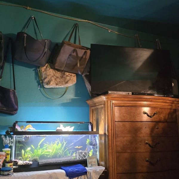 Finnex Stingray Original LED Light Riser, Attractive Stable Elevated ...