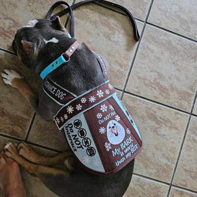 Funny Sayings Tag, Lightweight Tag, Funny Tag, Fun Dog Tag, Aluminum ...