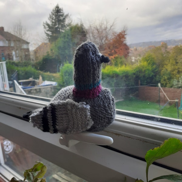 Pigeon Knit Kit - All You Need to Knit a Cute Pigeon - Bill the Pigeon ...