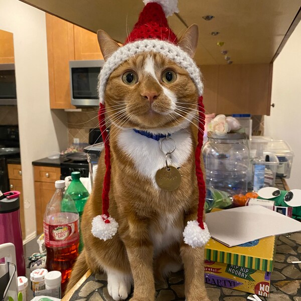 Santa Hat for Cats, Cat Santa Hat, Holiday Cat Hat, Christmas Hat for ...