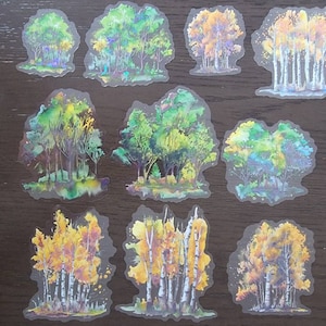 10 Pcs Victorian Vintage Window and Door Stickers, Green Window and ...