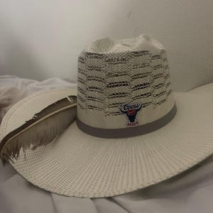 PBR Professional Bull Riders Sticker/decal - Etsy