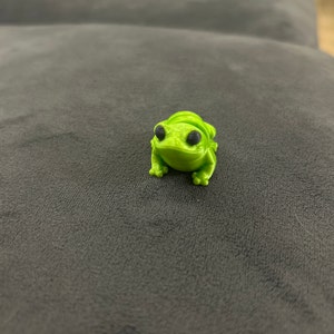 Fidget Frog Fidget Toy, Articulated Sensory Toy, Tiny Frogs, Flexible Frog, Desk Fidget Toy ...