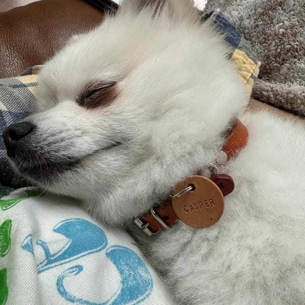 Dog Tag, Leather Tag, Silent ID Tag, Personalized Dog Tag, Small Dog ...
