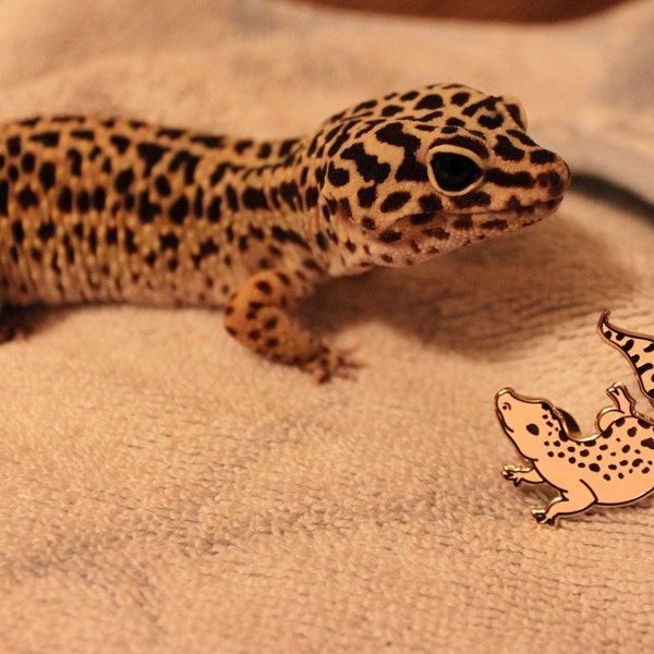 Chibi Leopard Gecko Enamel Pin - Etsy