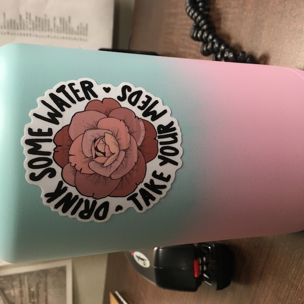 Mental Health Vinyl Sticker, Drink Some Water, Take Your Meds Sticker ...